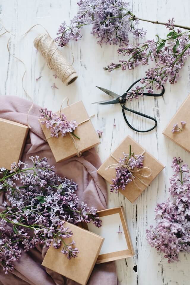 Affordable Plant Gifts For The Plant Lover In Your Life - Botanical Chick